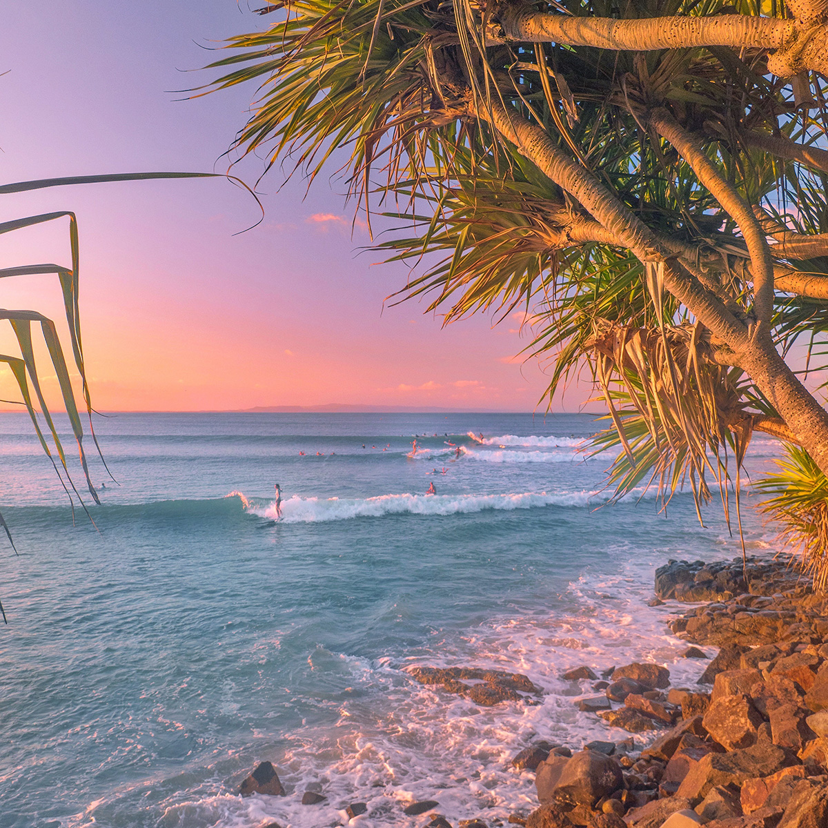 Ferry Info - Noosa North Shore Ferries